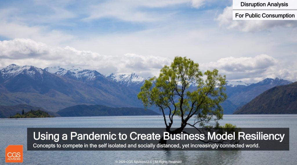 Business Model Report Cover - CGS Advisors